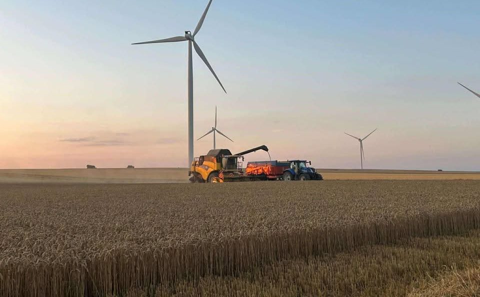 EU grain production rebounds - Grain Central