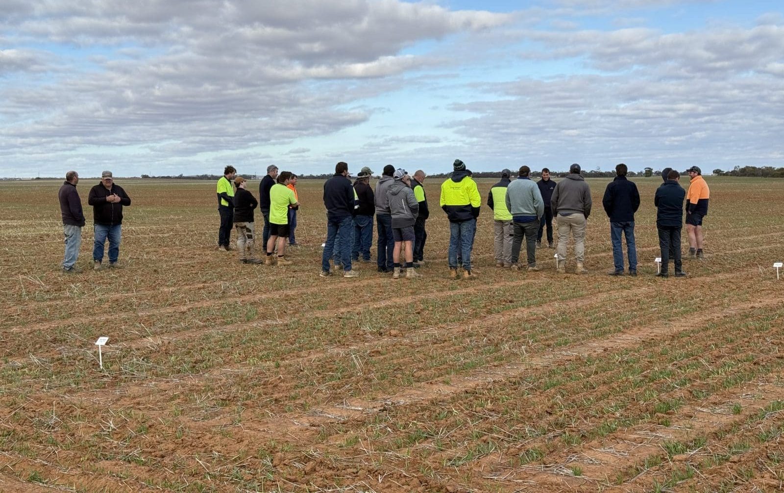 PIRSA forecasts SA crop at 8.18Mt - Grain Central