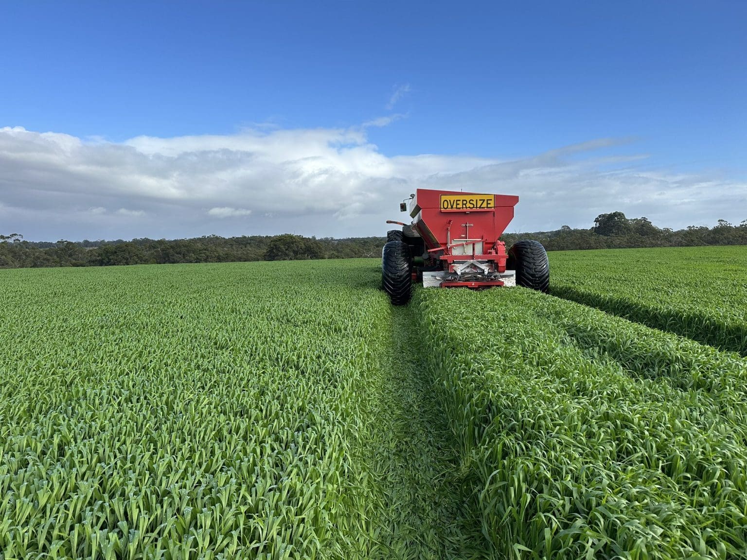 Crop conditions mixed but 19.3Mt in sight: GIWA - Grain Central