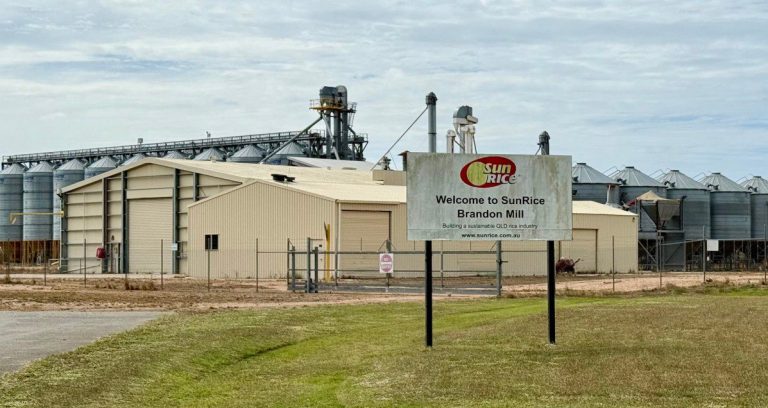 SunRice brings mothballed Qld mill to market - Grain Central