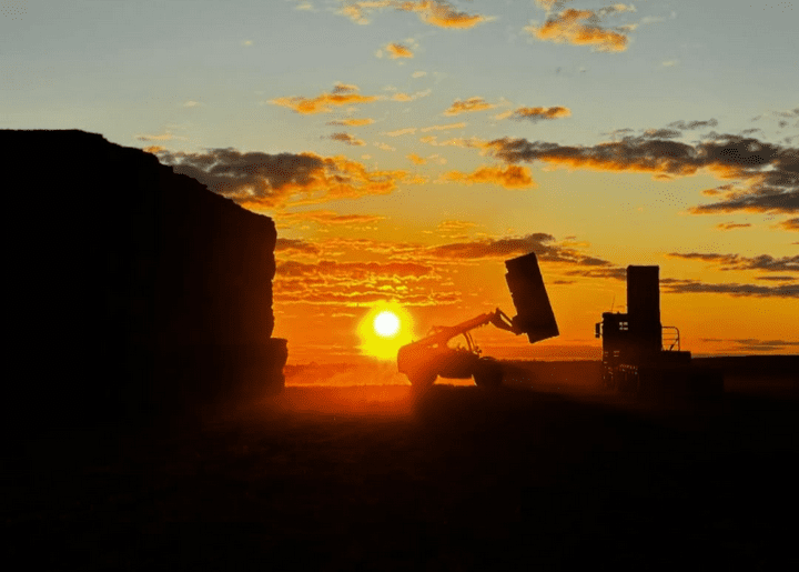 Hay season nears as south waits for pasture surge - Grain Central