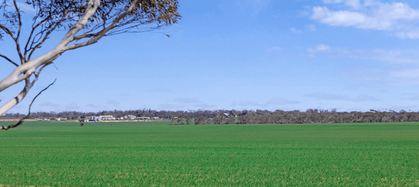 Mallee, Upper EP farms list, EOI on Rushy Lagoon invited - Grain Central