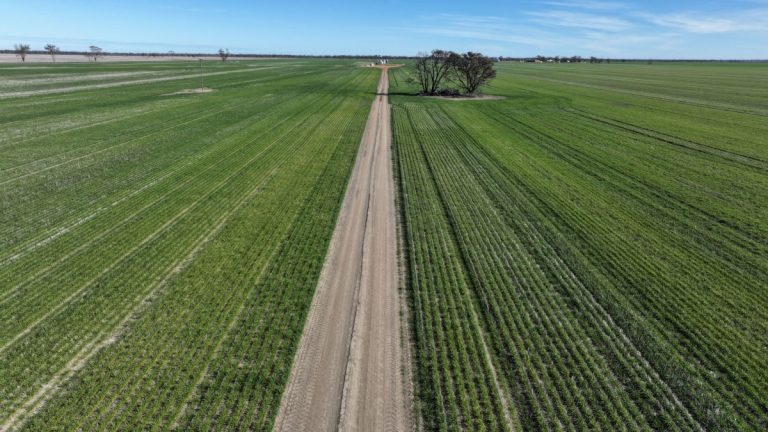 Garah's Homedale sells as SA, WA farms list - Grain Central