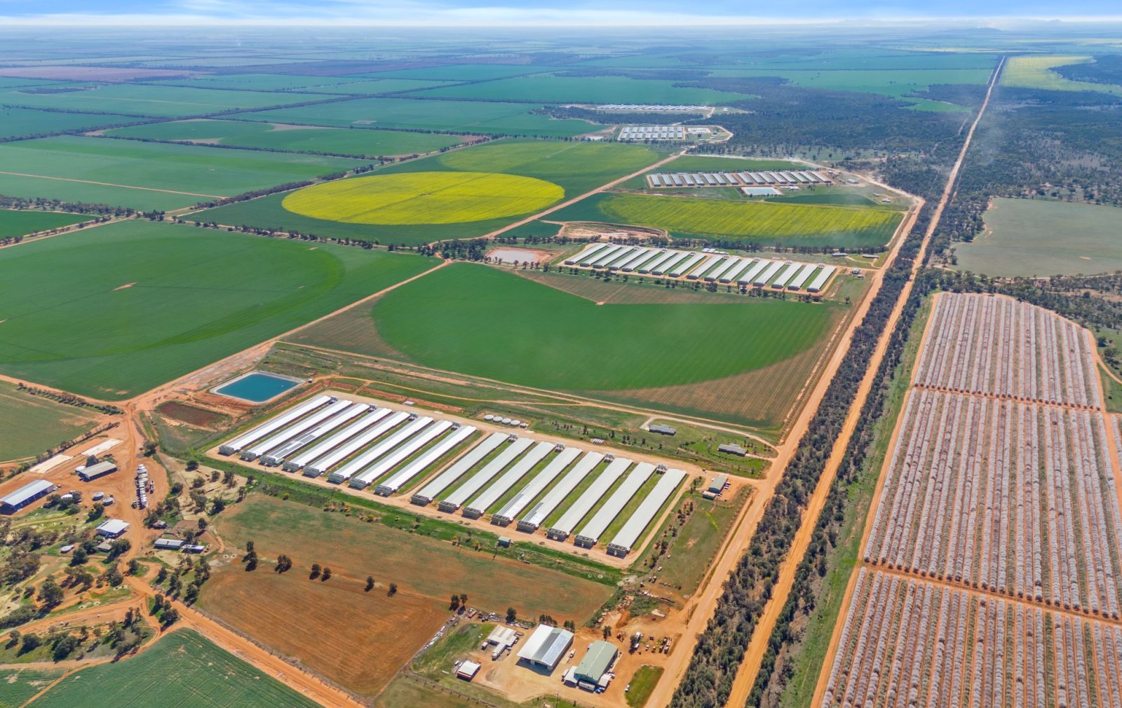 VOAG offers 80-shed chicken portfolio in Riverina - Grain Central