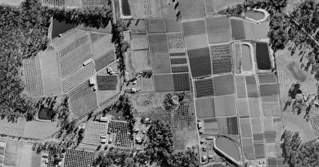 Sydney once produced its own food but urban development has devoured ...