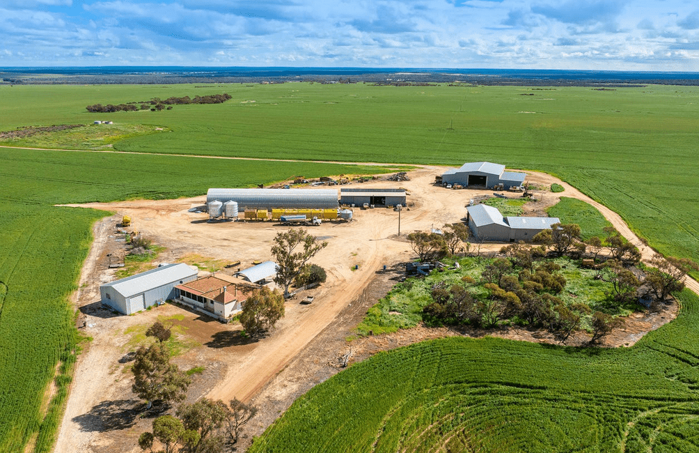 Marchagee, Telopea Downs head WA, Vic listings - Grain Central