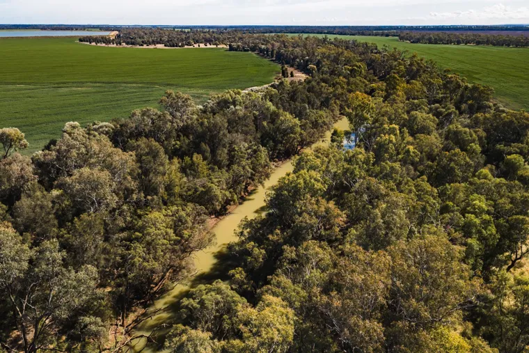 UPDATED: CEFC, La Caisse ag-carbon platform buys CQ's Arcturus Downs ...