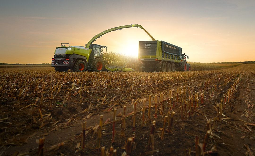 Ukraine harvest transitions to summer crops - Grain Central