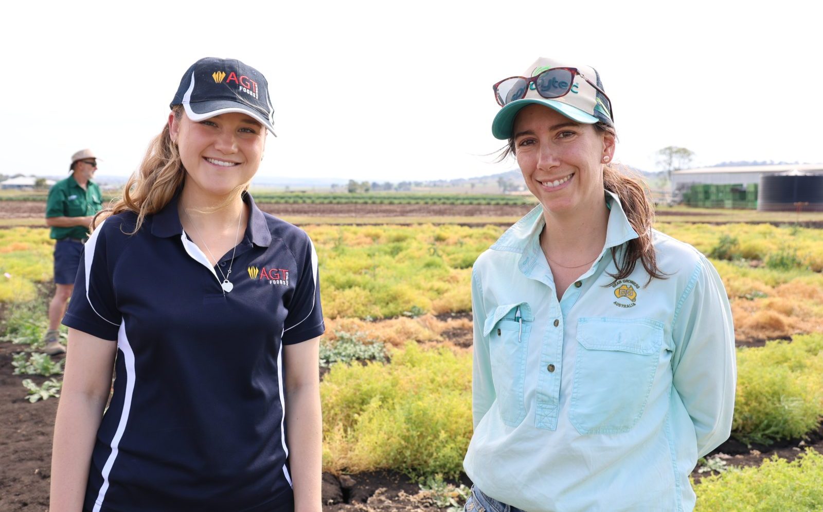 Lentil area sets record as potential explored in west, north - Grain Central