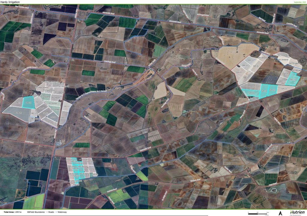 Crop dusters to pay for damaging cotton crops - Grain Central