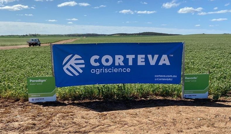 Corteva to separate seed, crop-protection businesses - Grain Central