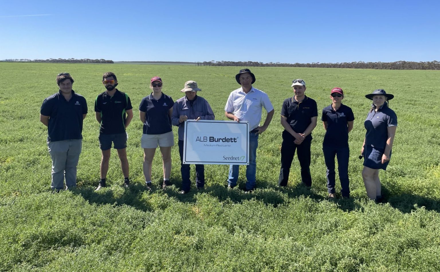 Lentil area sets record as potential explored in west, north - Grain Central