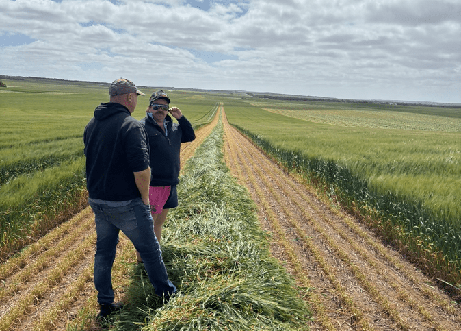 SA on track for 8.49Mt crop this harvest: PIRSA - Grain Central