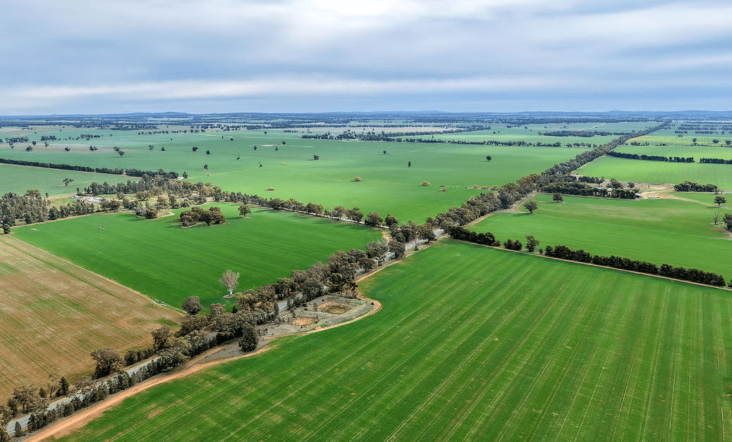 Ariah Park, Conargo, Condobolin country on market - Grain Central