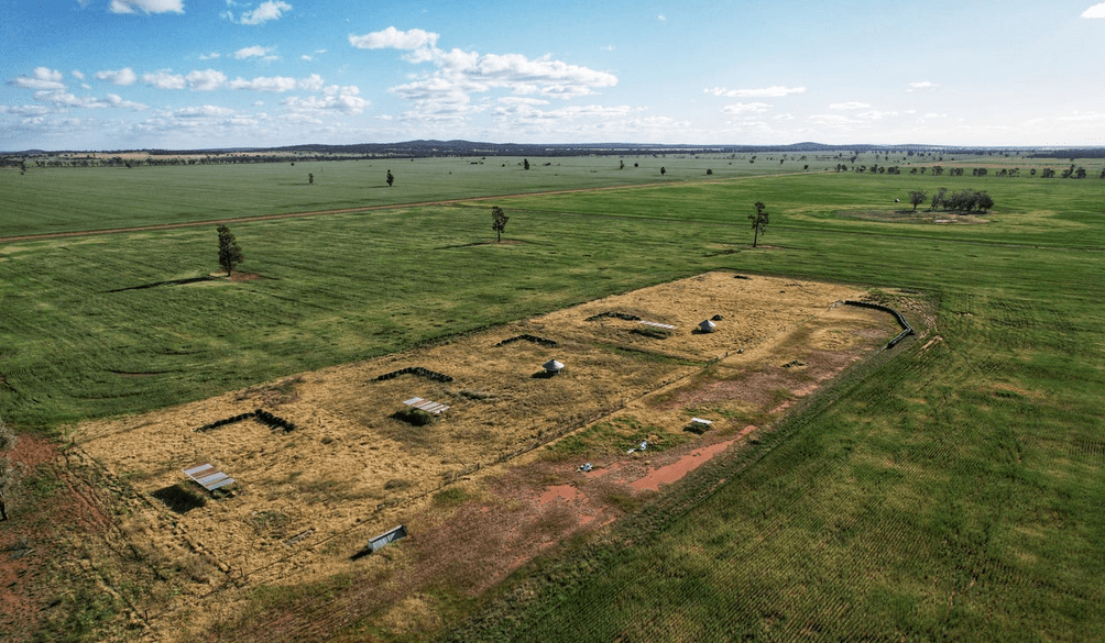 Ariah Park, Conargo, Condobolin country on market - Grain Central