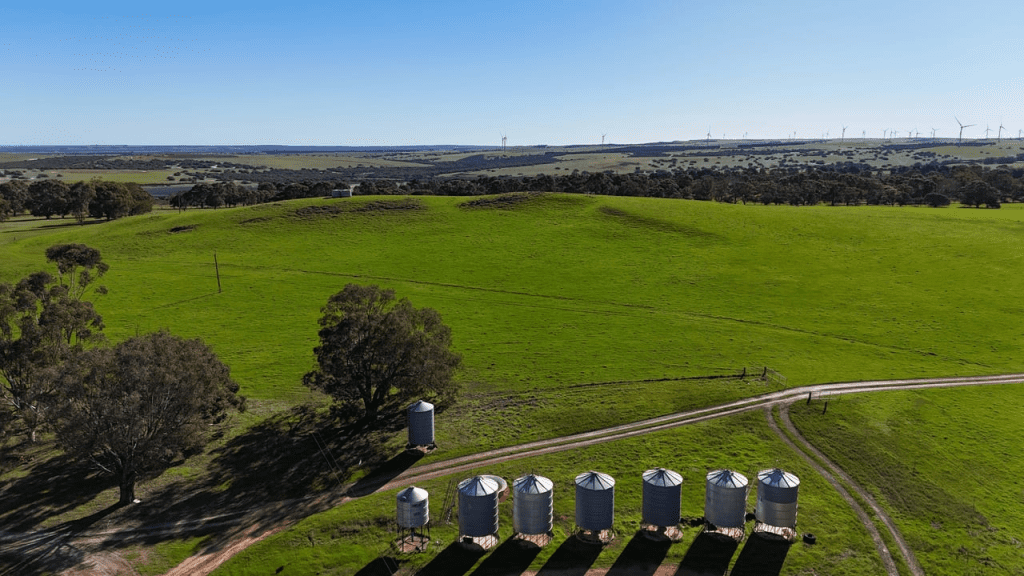 Breeza Plains' Battery Hill heads latest listings - Grain Central