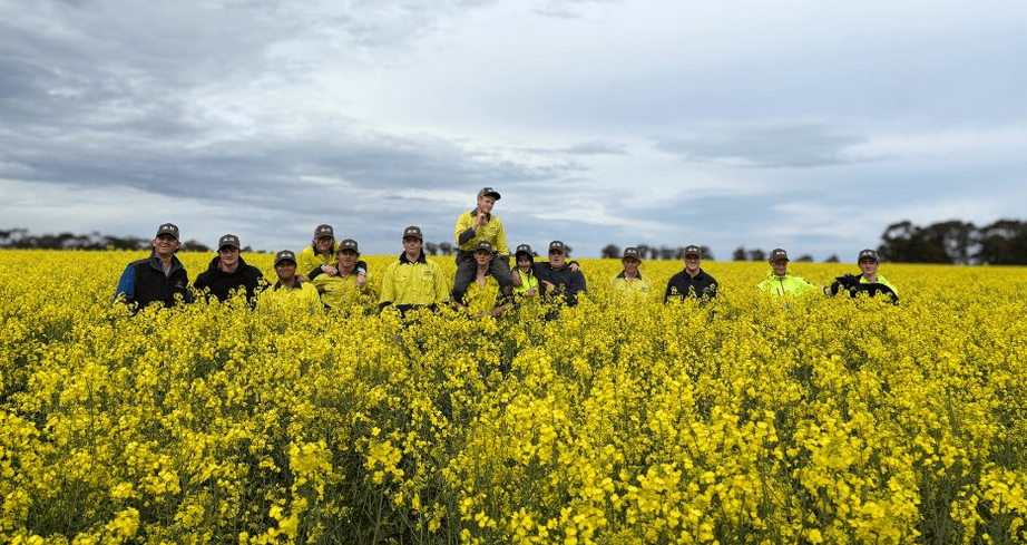 Cargo points to resumption of Australian canola sales to China - Grain ...