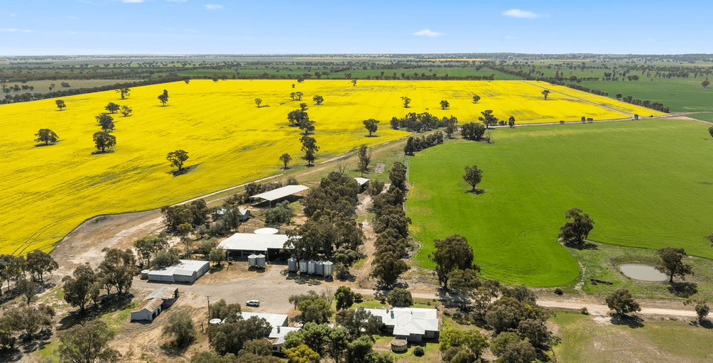 Clearview, Dunvegan, Kolonga on NSW market - Grain Central