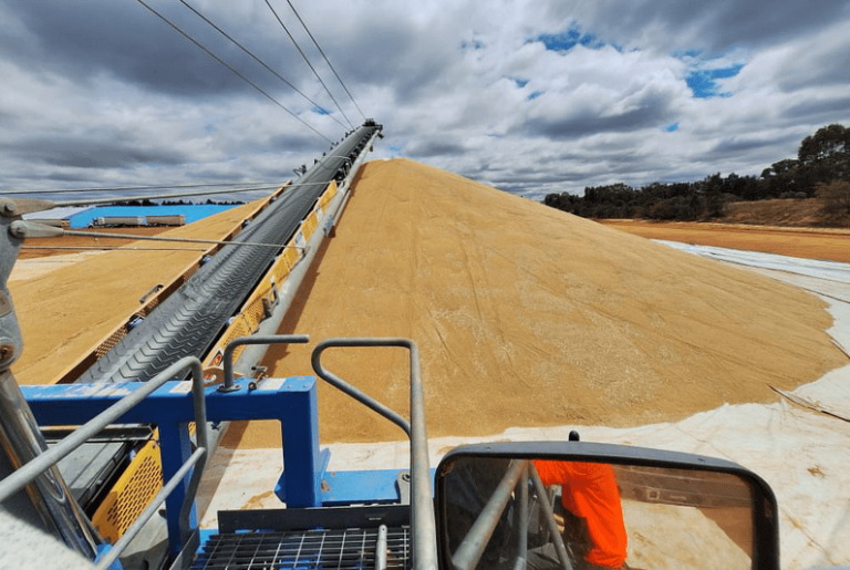 Australia ships 2.61Mt Jan wheat, up 14pc from Dec - Grain Central