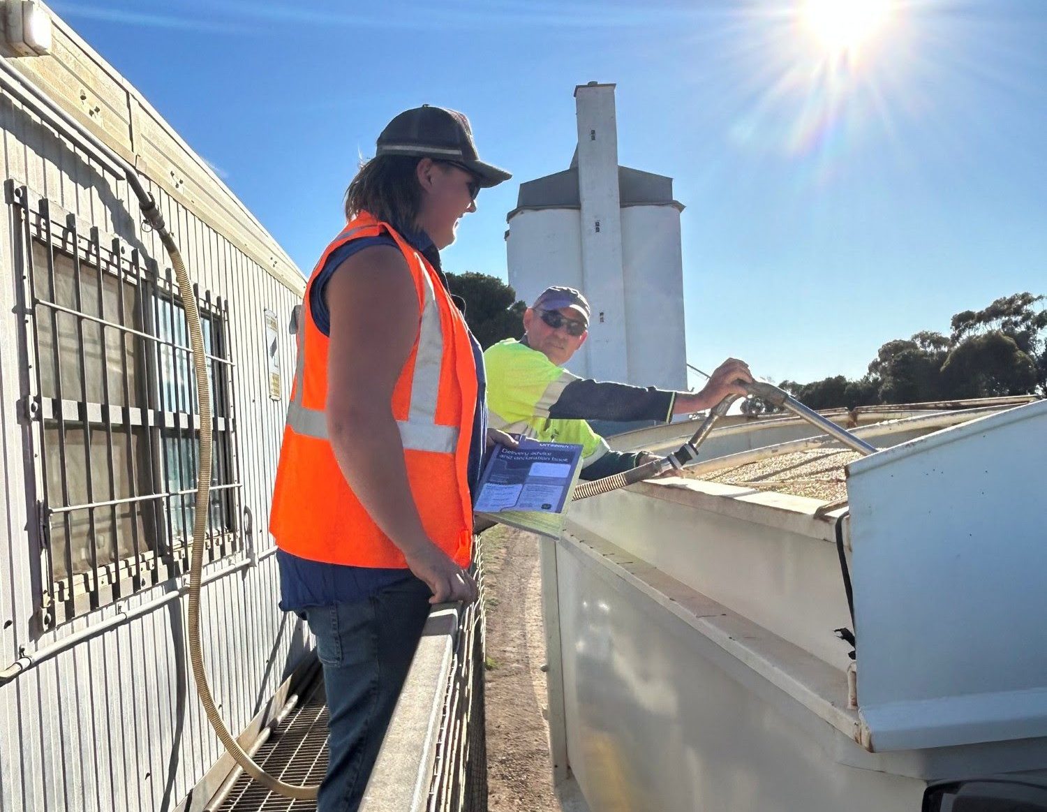 Bunge SA, Vic receivals more than double in week - Grain Central