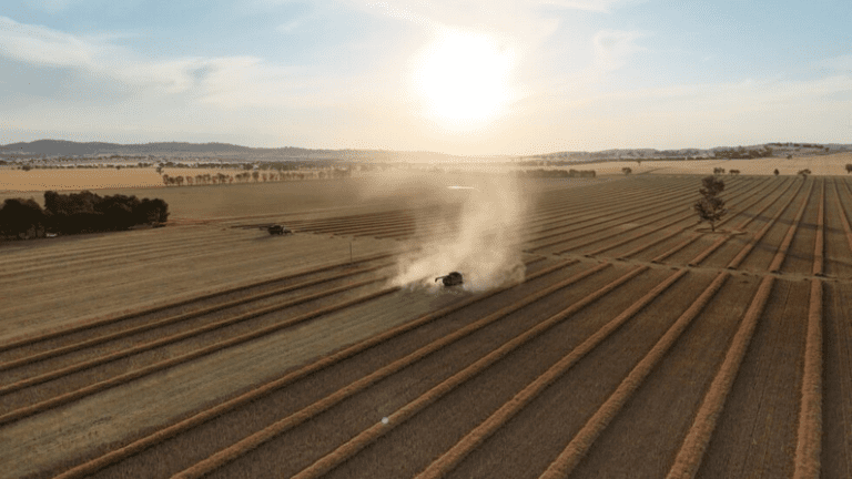 GrainCorp receivals pass 6.5Mt despite slow south - Grain Central