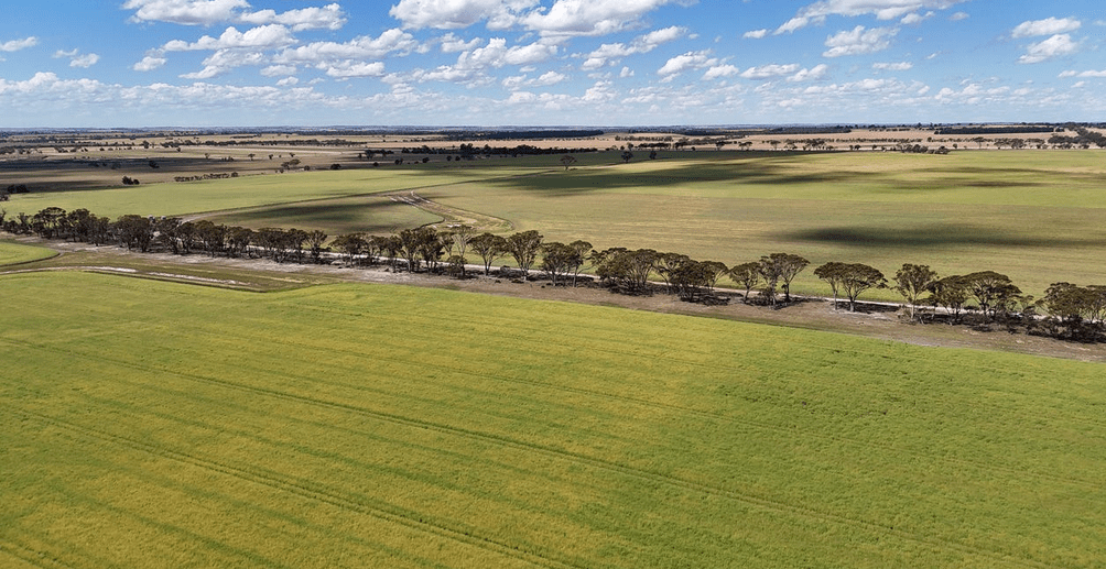 Pingrup Aggregation, Kolonga Downs, Waitavalo for sale in west - Grain ...