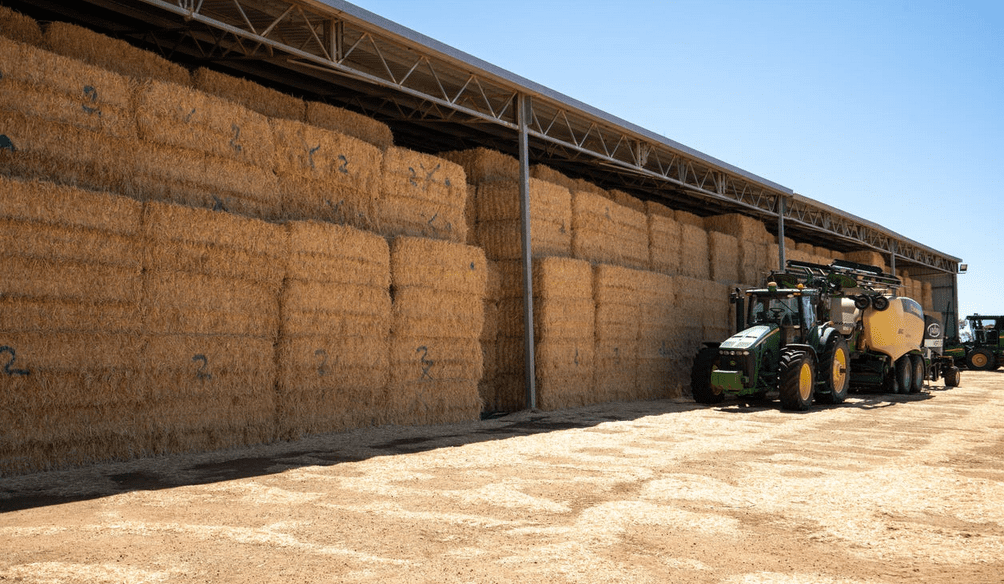 Pingrup Aggregation, Kolonga Downs, Waitavalo for sale in west - Grain ...
