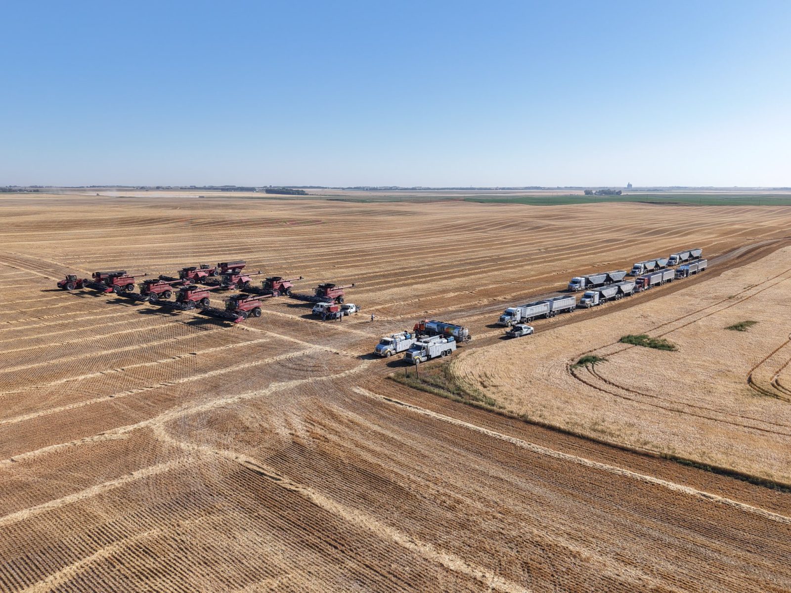 Canadian grain-production bonanza confirmed - Grain Central