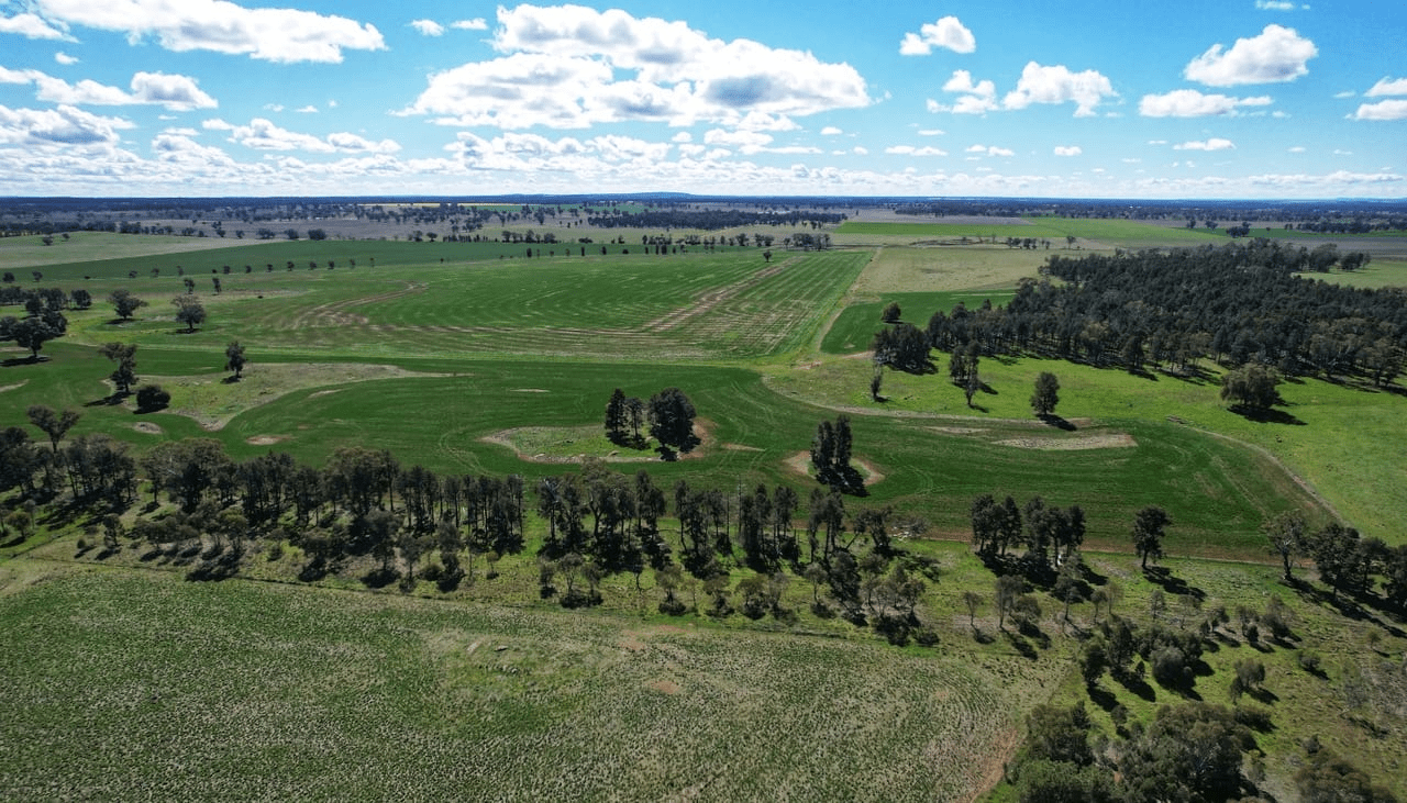 Diverse irrigated, dryland holdings on offer - Grain Central