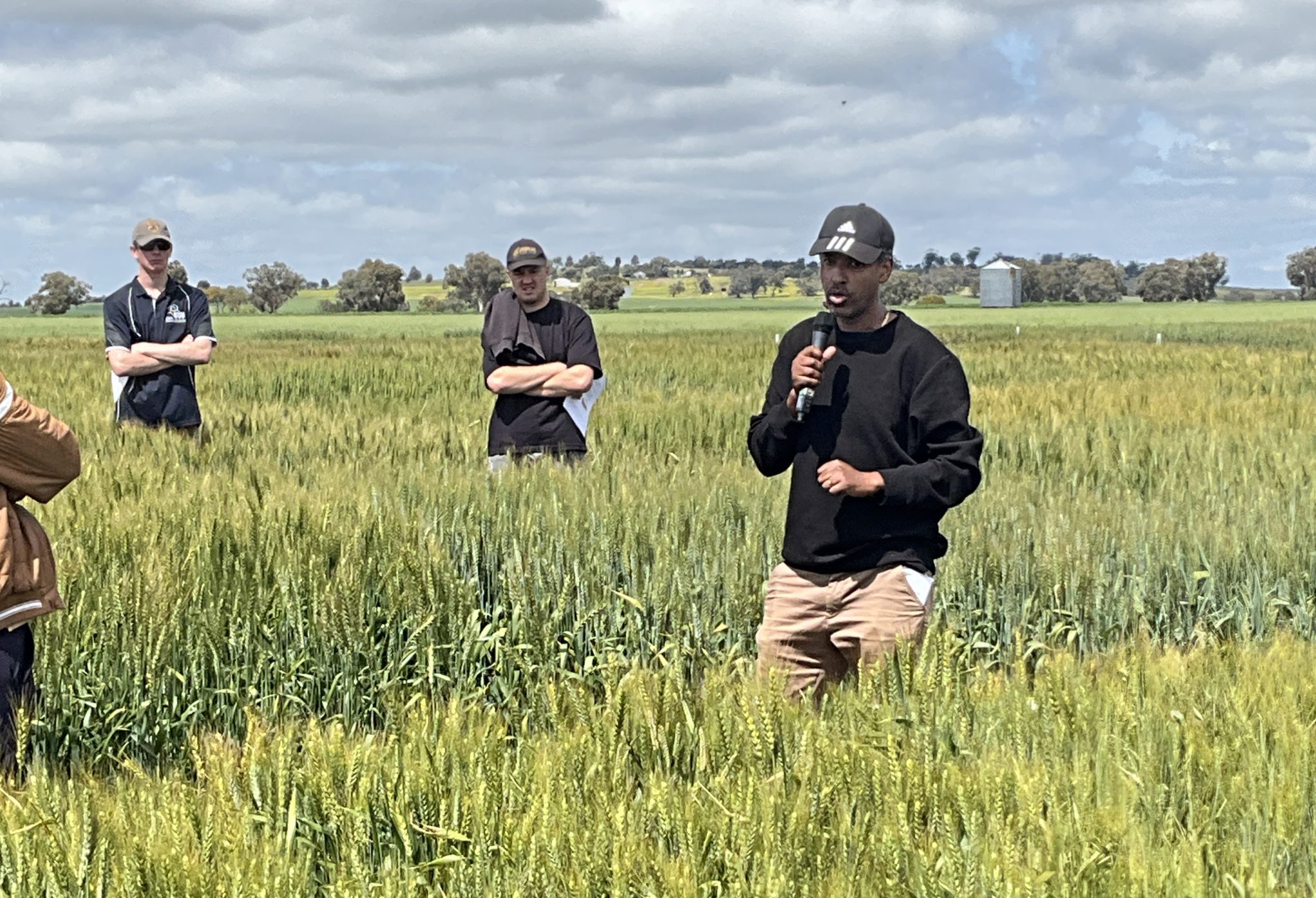 Spraying to control bacteria shows promise in curbing frost hits ...