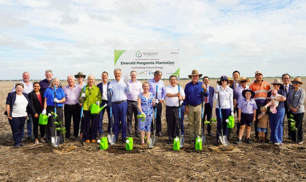 JV kicks off large-scale pongamia plantation in CQ - Grain Central