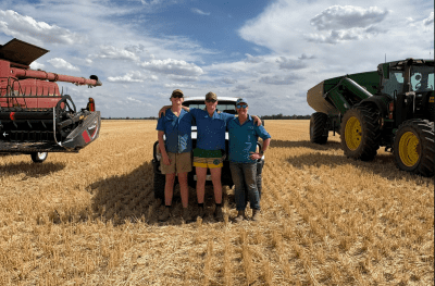 ABARES confirms record for barley; canola, wheat lift - Grain Central