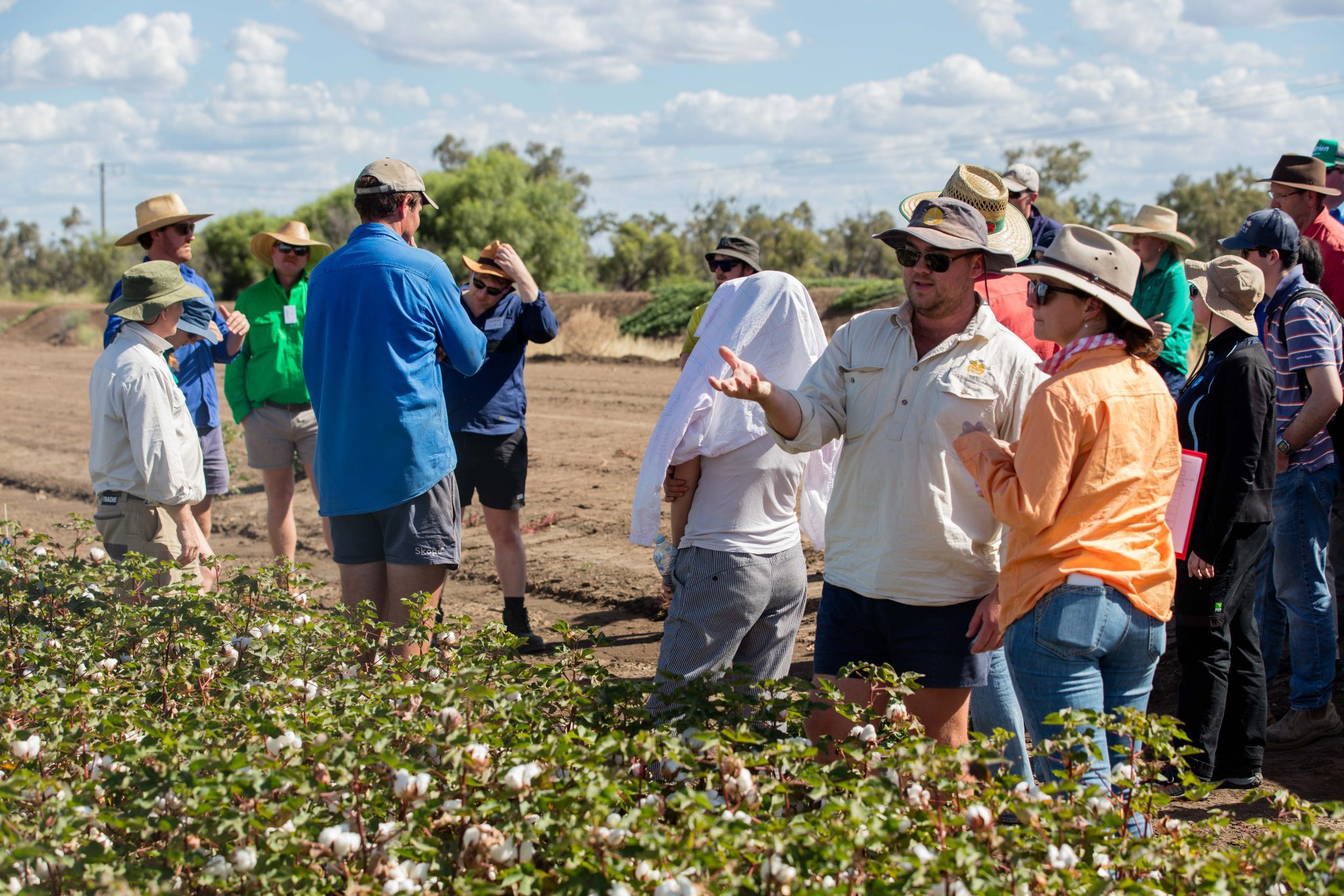 New cotton course brings industry together to build skills - Grain Central
