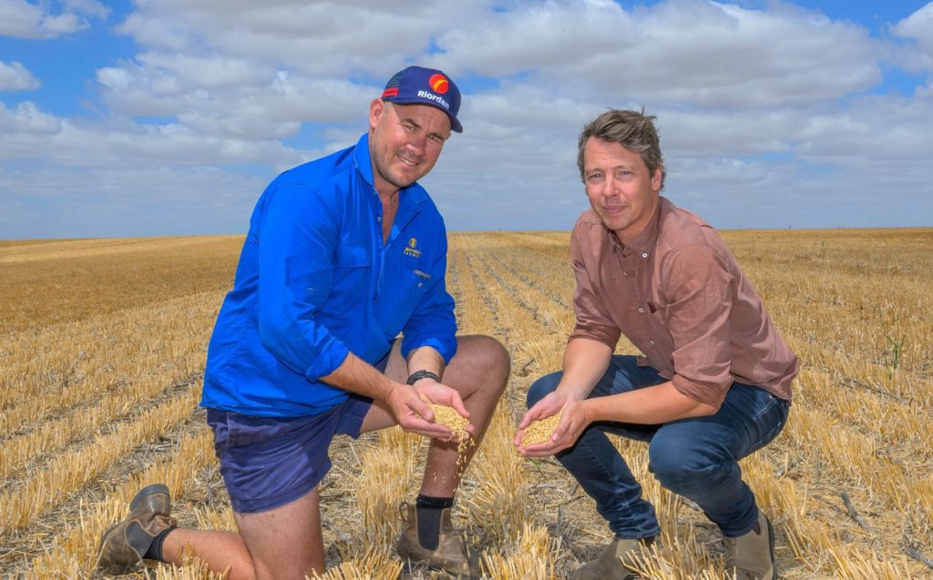 Partnership to track barley carbon emissions from paddock to beer ...
