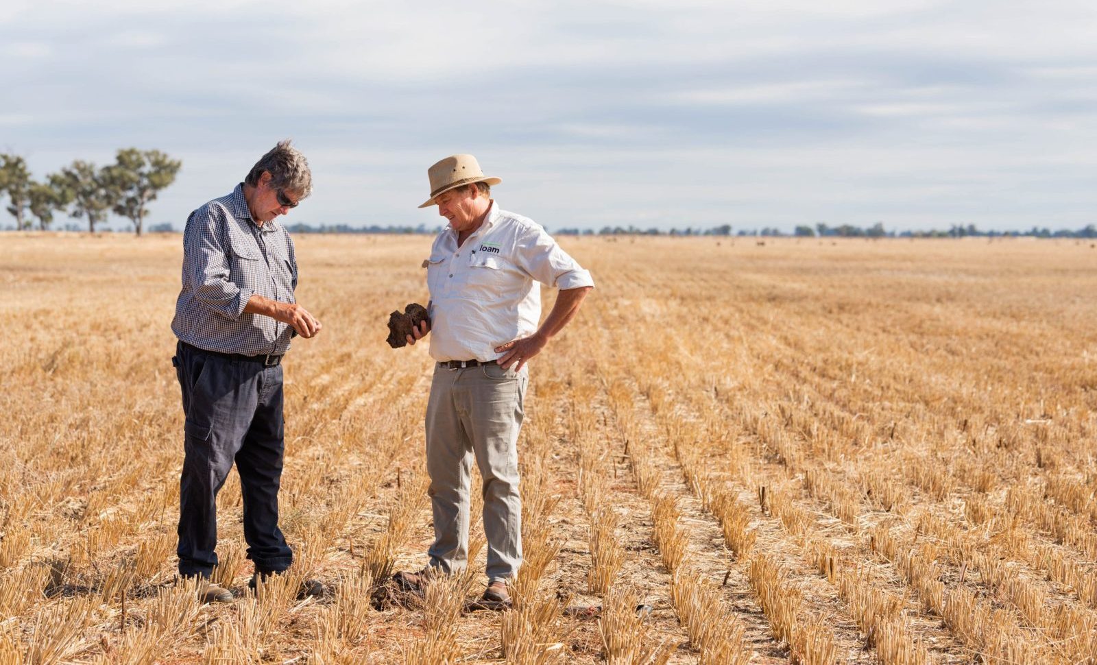 NSW broadacre farm becomes first to generate ACCUs - Grain Central