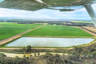 Wardry offers diverse cropping options in Lower Lachlan - Grain Central