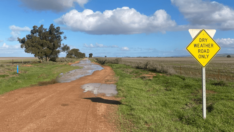 Feedgrain Focus: More rain, lower values as north ups planting - Grain ...