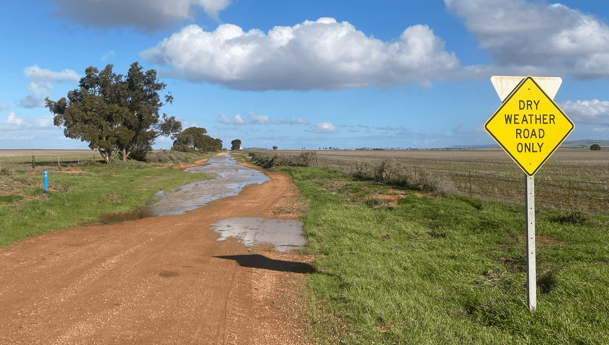 Feedgrain Focus: More rain, lower values as north ups planting - Grain ...