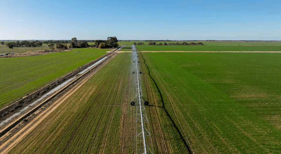 Riverina's Yarranvale tipped to fetch $40M plus - Grain Central