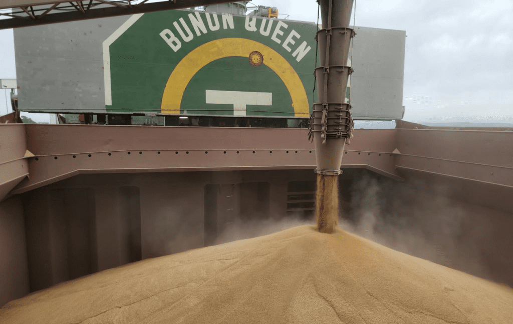 Bid-offer price spreads widen in wheat: CGX - Grain Central