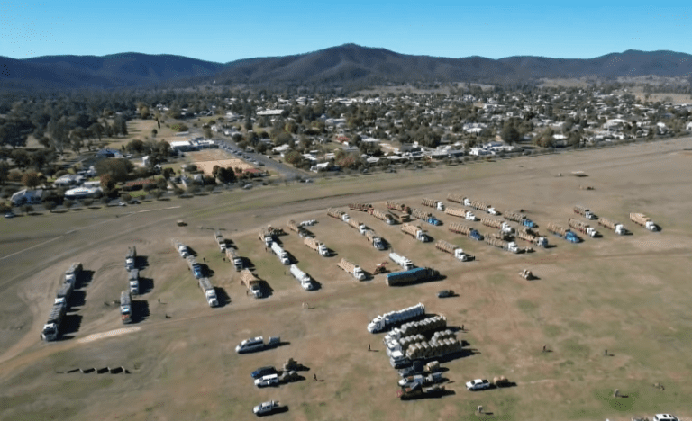 Hay drop helps out as winter bites in northern NSW - Grain Central