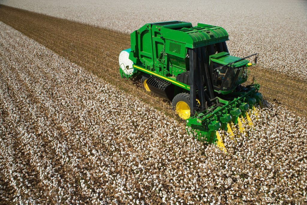 Positive pricing news for Australian cotton growers: ANZ - Grain Central